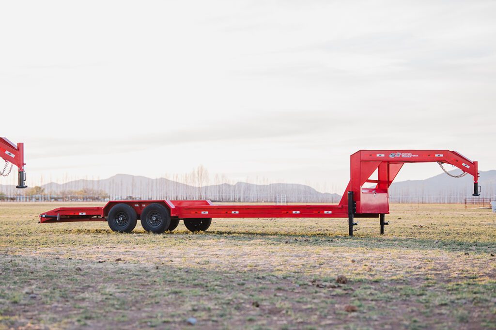 Gallery | Super Champion