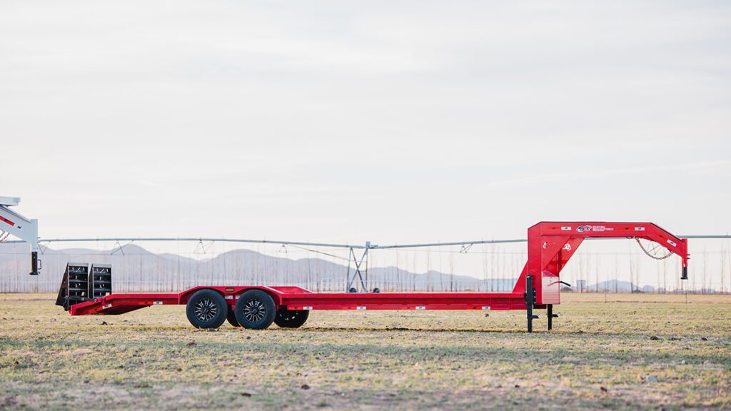 Gallery | Super Champion