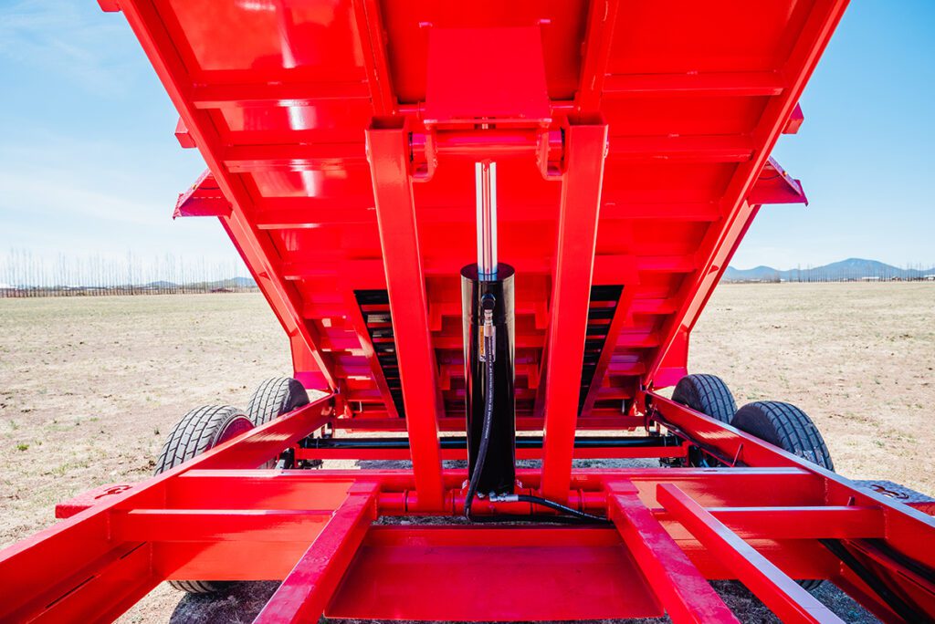 Gallery | Super Champion