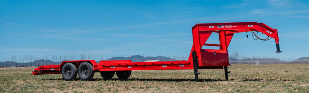 Gallery | Super Champion