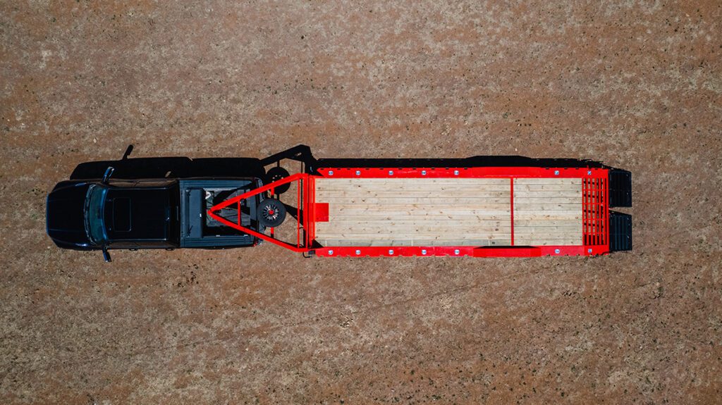 Gallery | Super Champion